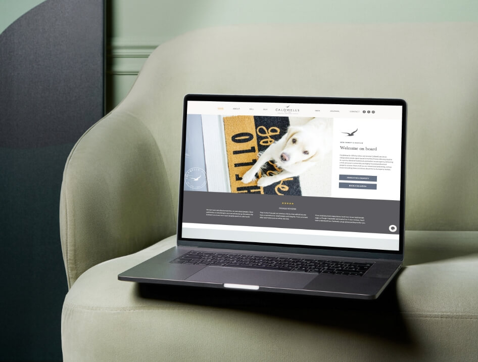 Client Stories | A Bespoke, Growth-focused Rebrand
